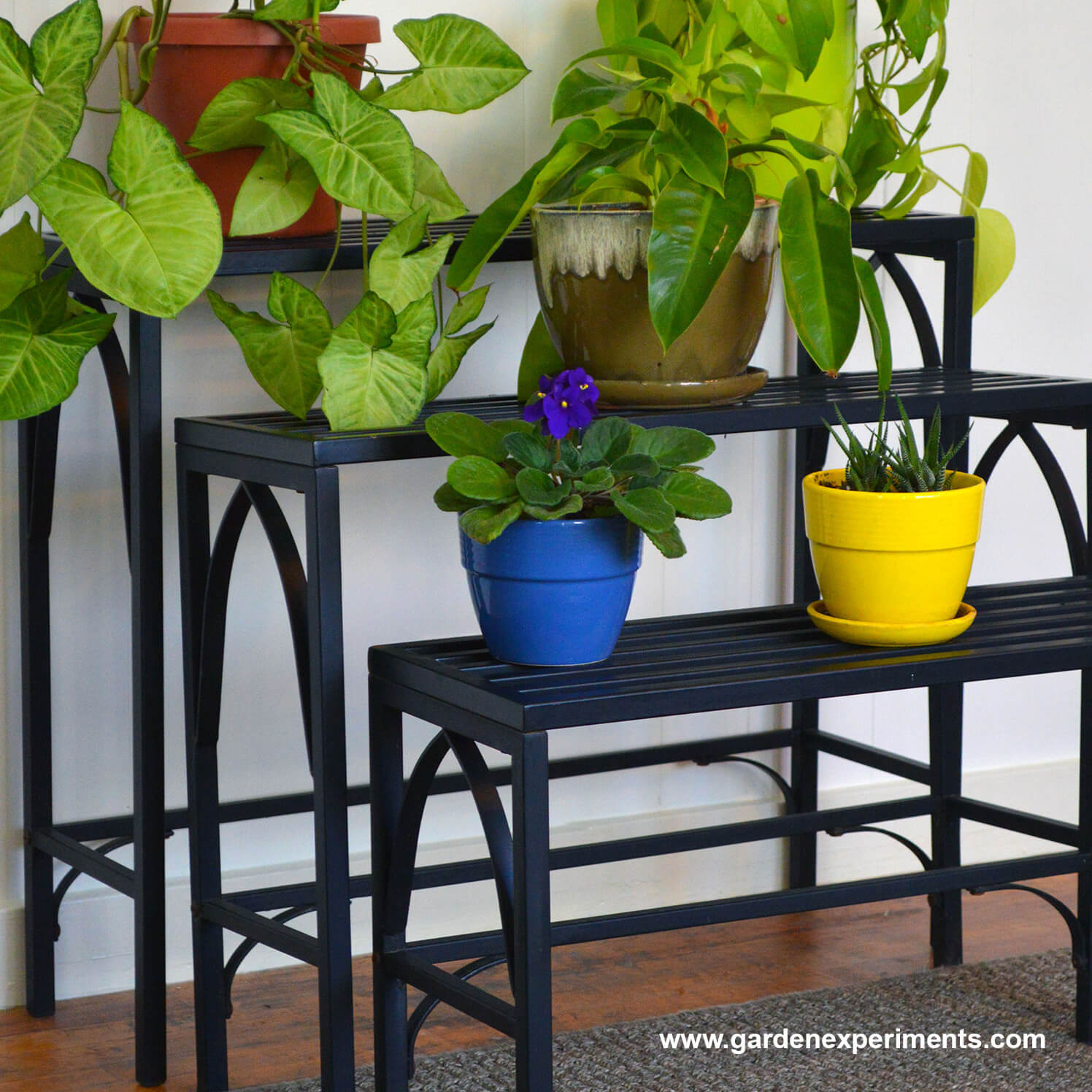 The Search For A Quality Plant Stand