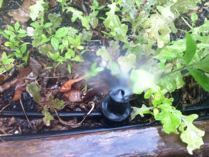 How to Save Time Watering Your Garden