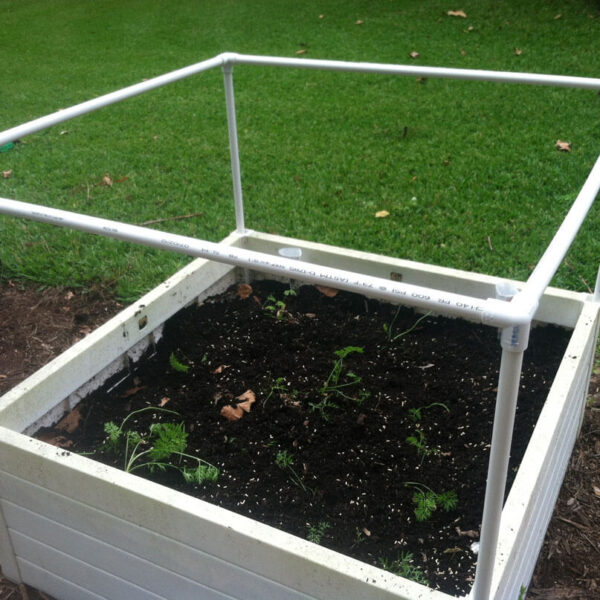 How to Make Deer Exclosure for Raised Beds