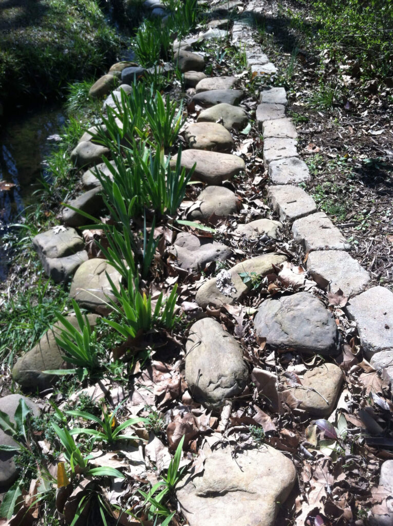 Stream Bank Erosion Control Using Rocks and Flowering Plants