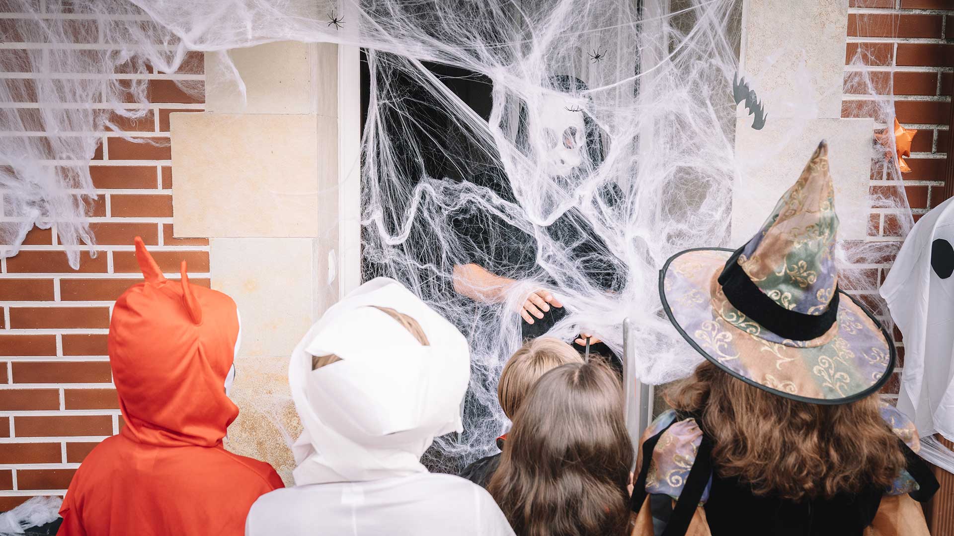 Keep Wildlife Safe This Halloween: The Dangers of Fake Spider Web ...