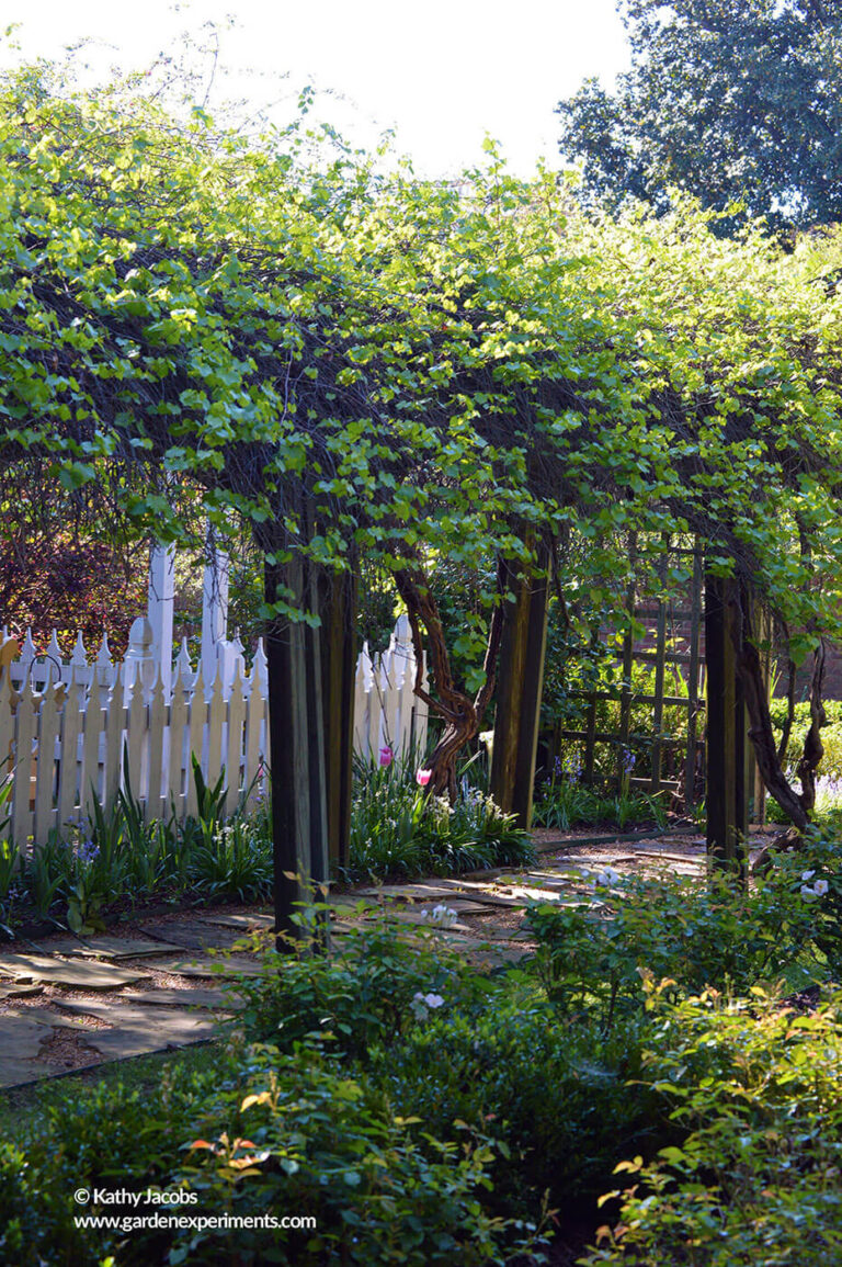 Spring Tour of Colonnade Garden in Columbus, MS