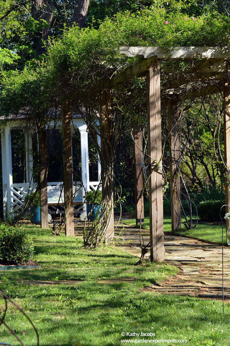 Spring Tour of Colonnade Garden in Columbus, MS